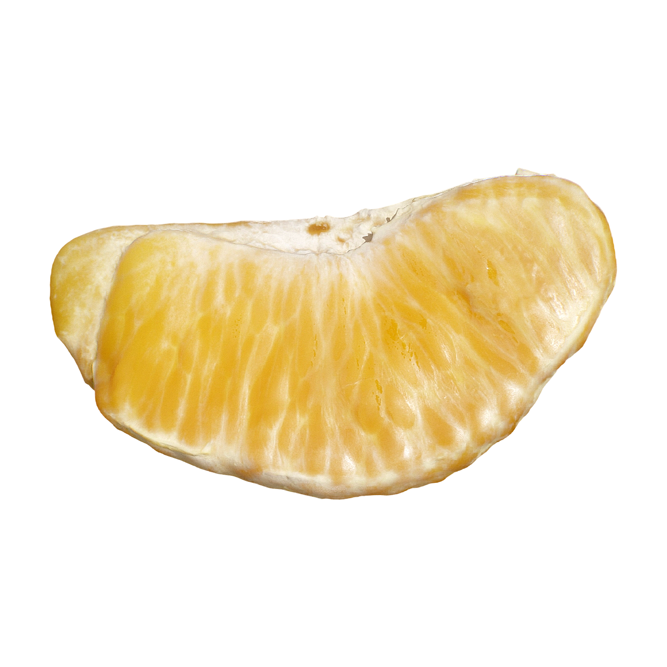 a slice of orange 3D model download,3D modeling,3D drawings,3D printing ...